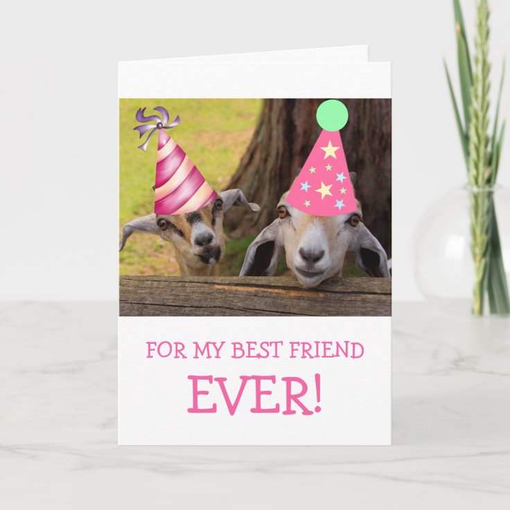 Cute Goat Best Friend Birthday Card | Zazzle