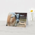Cute Goat Eating Hay Photo Sympathy Card | Zazzle
