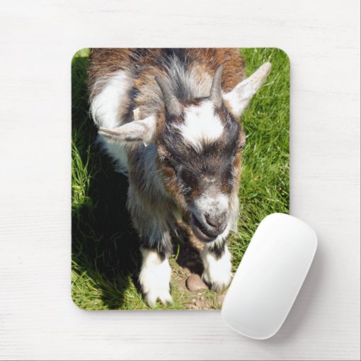 CUTE GOAT MOUSE PAD | Zazzle