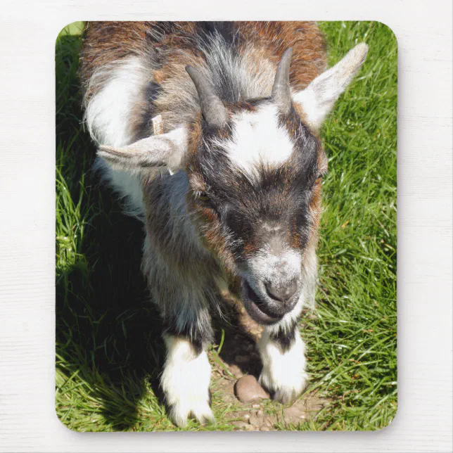 CUTE GOAT MOUSE PAD | Zazzle