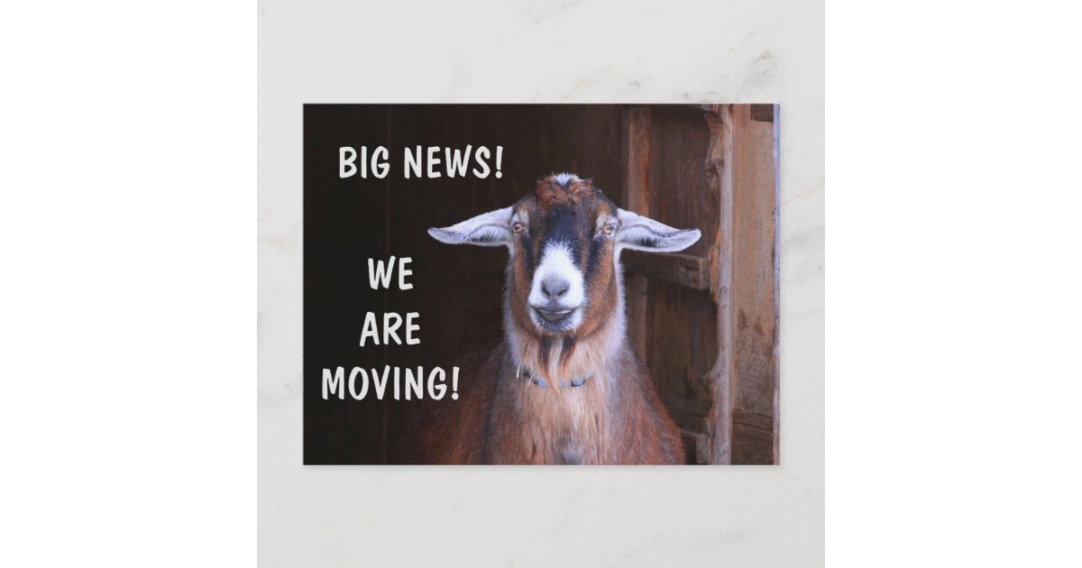 Cute Goat Moving Announcement Postcard | Zazzle