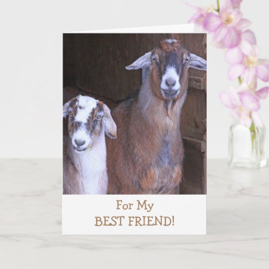 Cute Goats Best Friend Birthday Card | Zazzle.com