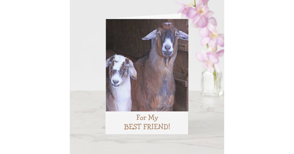 Cute Goats Best Friend Birthday Card | Zazzle