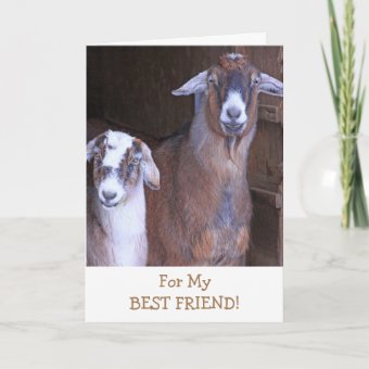 Cute Goats Best Friend Birthday Card | Zazzle