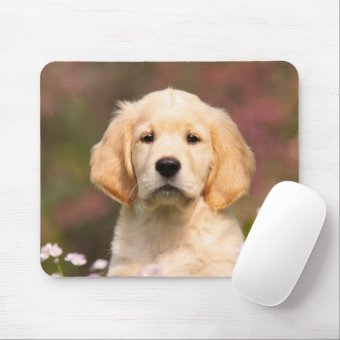 Cute Golden Retriever Dog Puppy Portrait, Mouse Pad | Zazzle