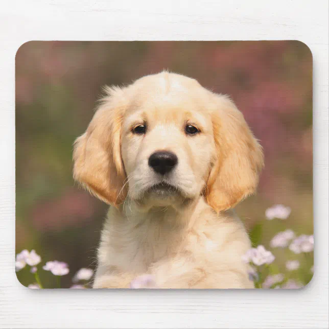 Cute Golden Retriever Dog Puppy Portrait, Mouse Pad | Zazzle