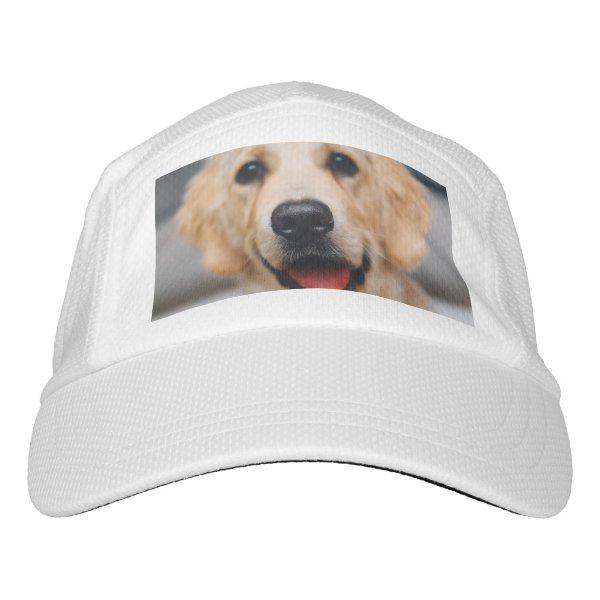 Personalized Golden Retriever Gifts on Zazzle