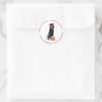 Cute Graduate Puppy Dog Graduation Congratulations Classic Round ...