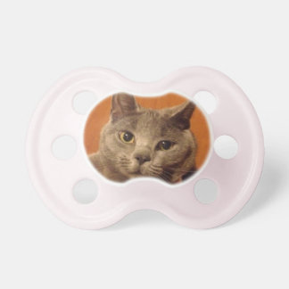 Kitten Pacifiers | Zazzle
