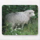 Cute Greedy Sheep Eating Mousepad | Zazzle