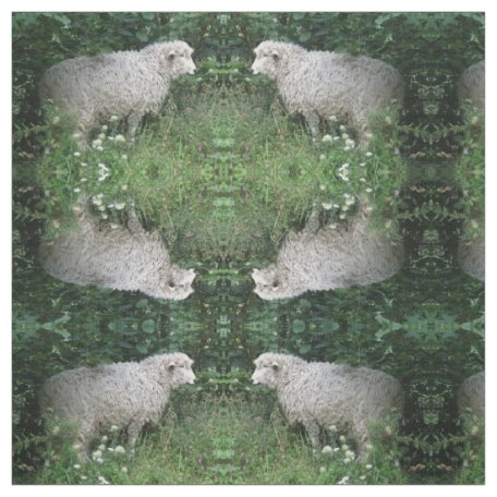Fluffy Sheep Fabric | Zazzle