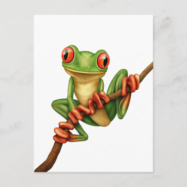 Cute Green Tree Frog on a Branch on White Postcard | Zazzle