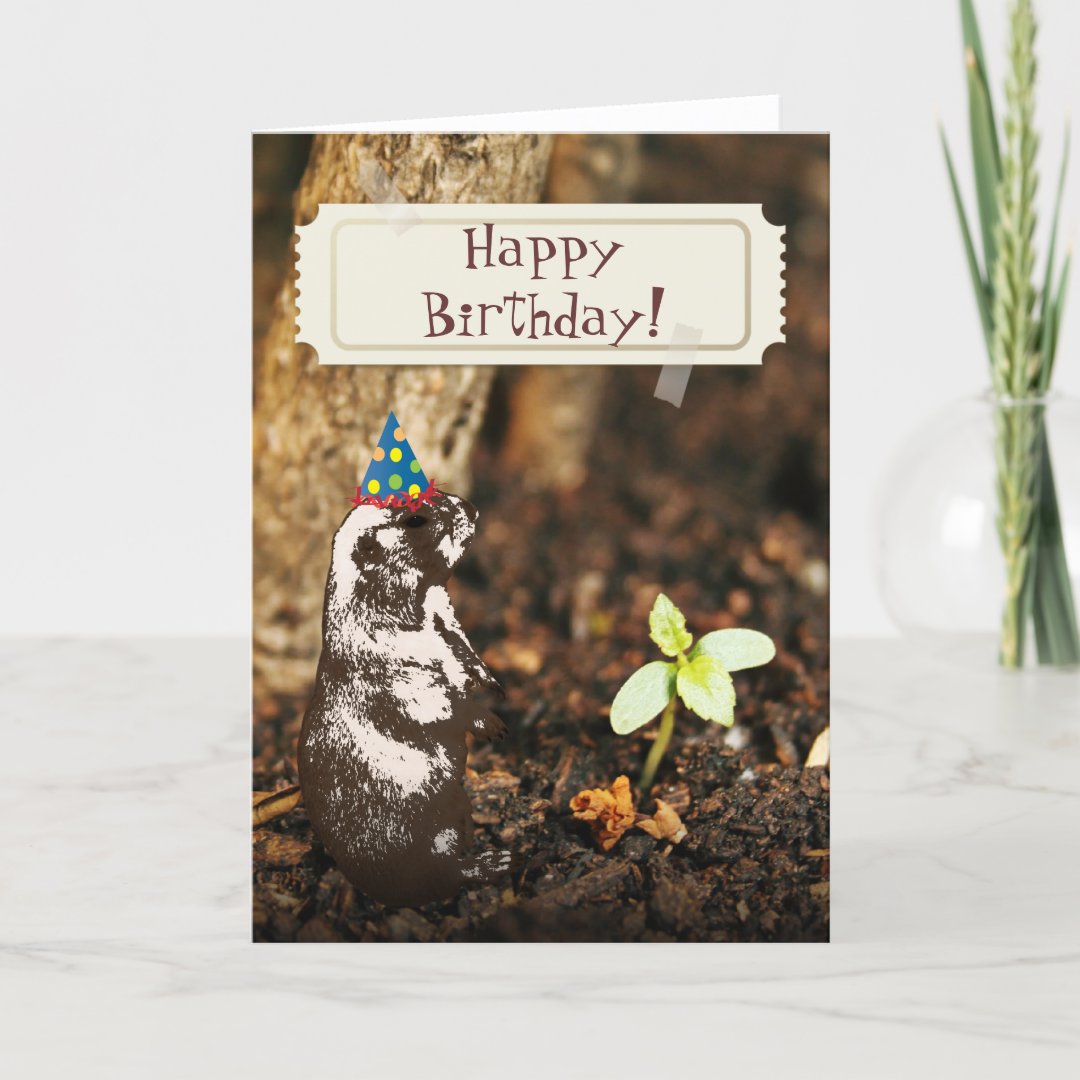 Cute Groundhog Birthday Card | Zazzle