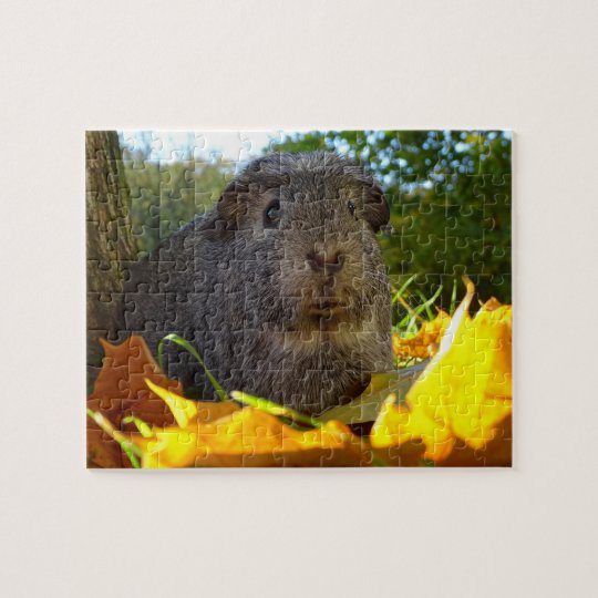 Cute Guinea Pig in Nature Jigsaw Puzzle | Zazzle.com