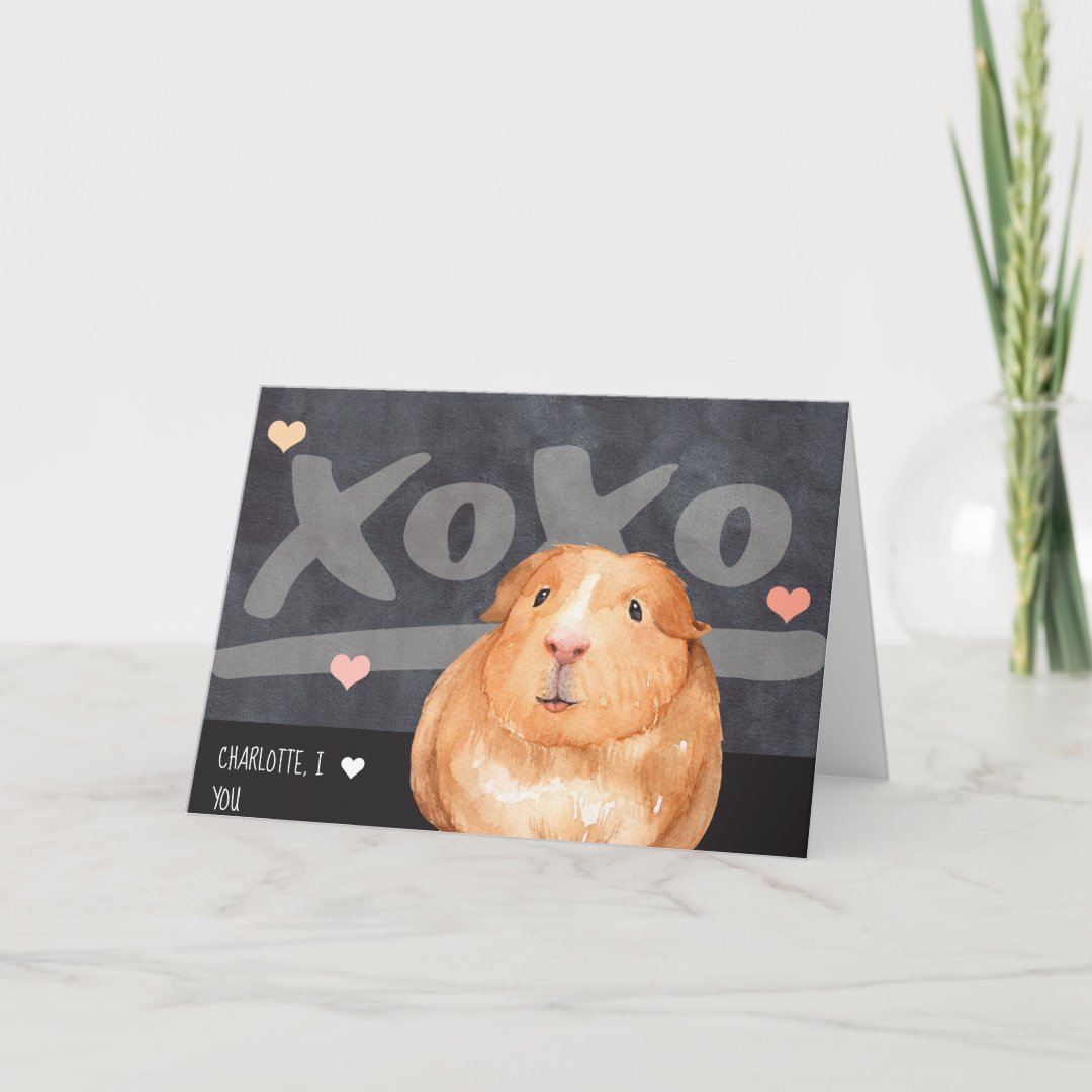 Cute Guinea Pig Personalized Valentines Day Holiday Card | Zazzle