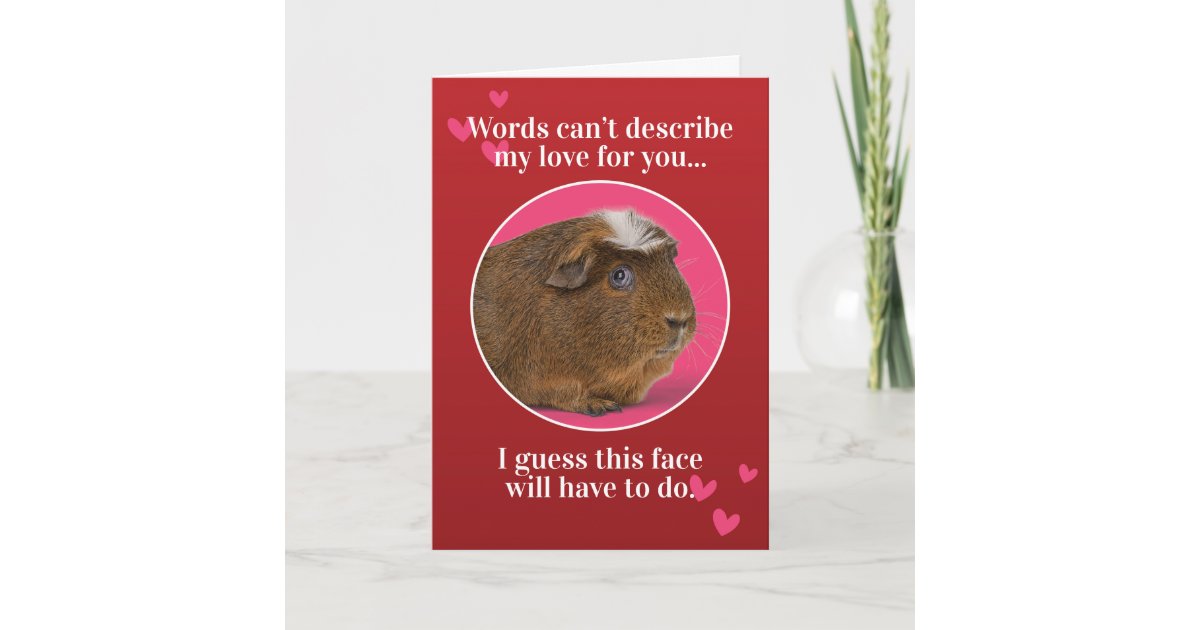 Cute Guinea Pig Valentines Day Holiday Card | Zazzle