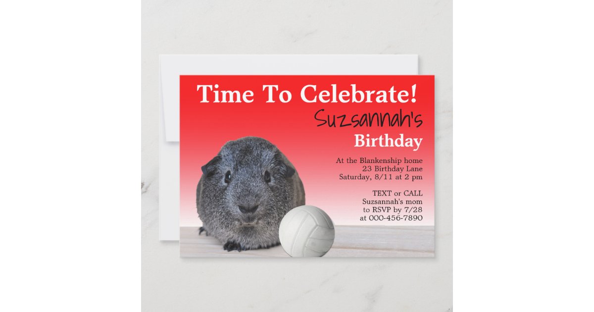 Cute Guinea Pig Volleyball Custom Birthday Party Invitation | Zazzle