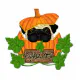Cute Halloween Fall Pug Pugkin Pumpkin Patch Cutout | Zazzle