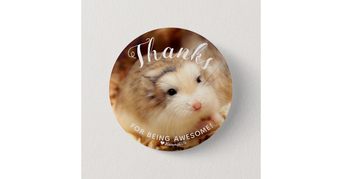 Cute Hamster Thanks for Being Awesome Button | Zazzle