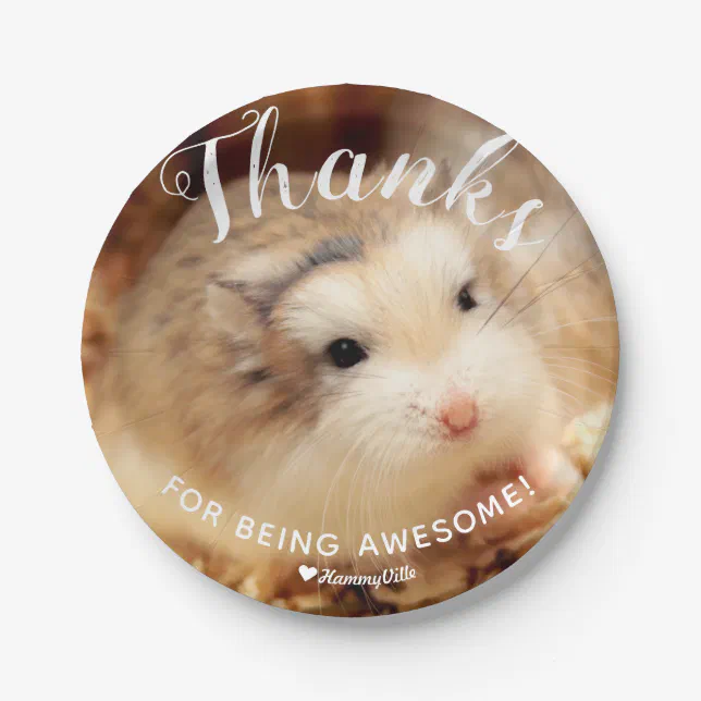 Cute Hamster Thanks for Being Awesome Paper Plates | Zazzle
