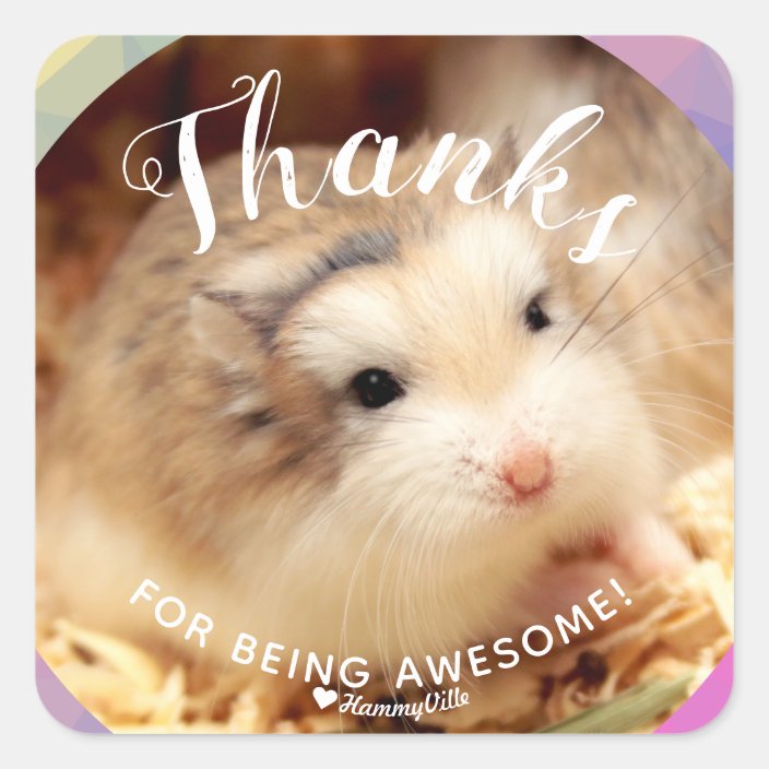 Cute Hamster Thanks for Being Awesome Square Sticker | Zazzle.com