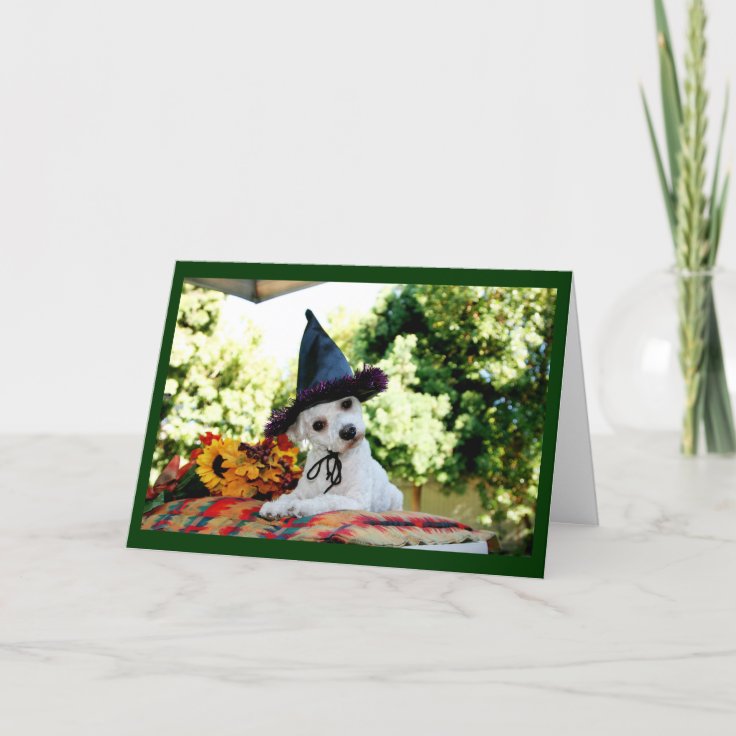 Cute Happy Thanksgiving Dog Greeting Card | Zazzle