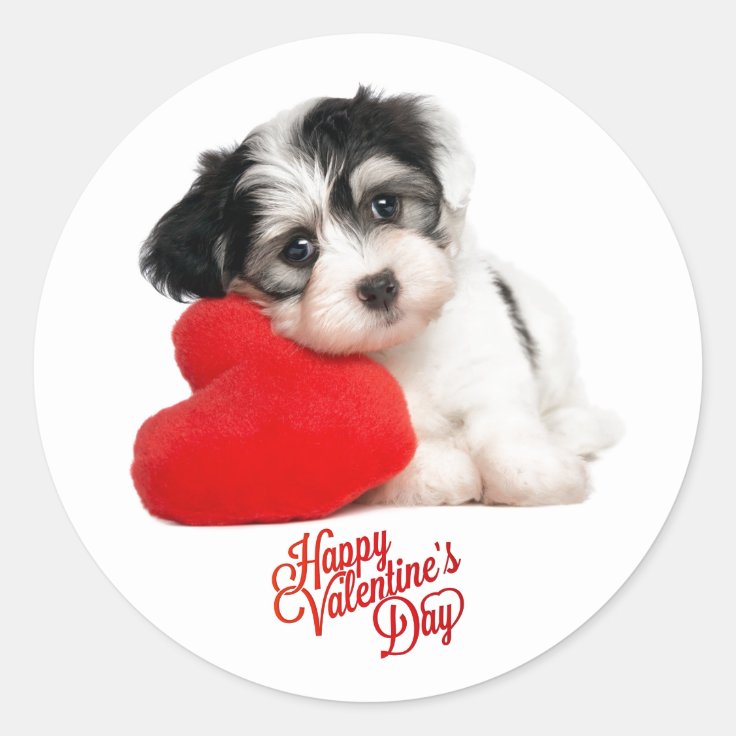 Cute Happy Valentine's Day Puppy Classic Round Sticker | Zazzle