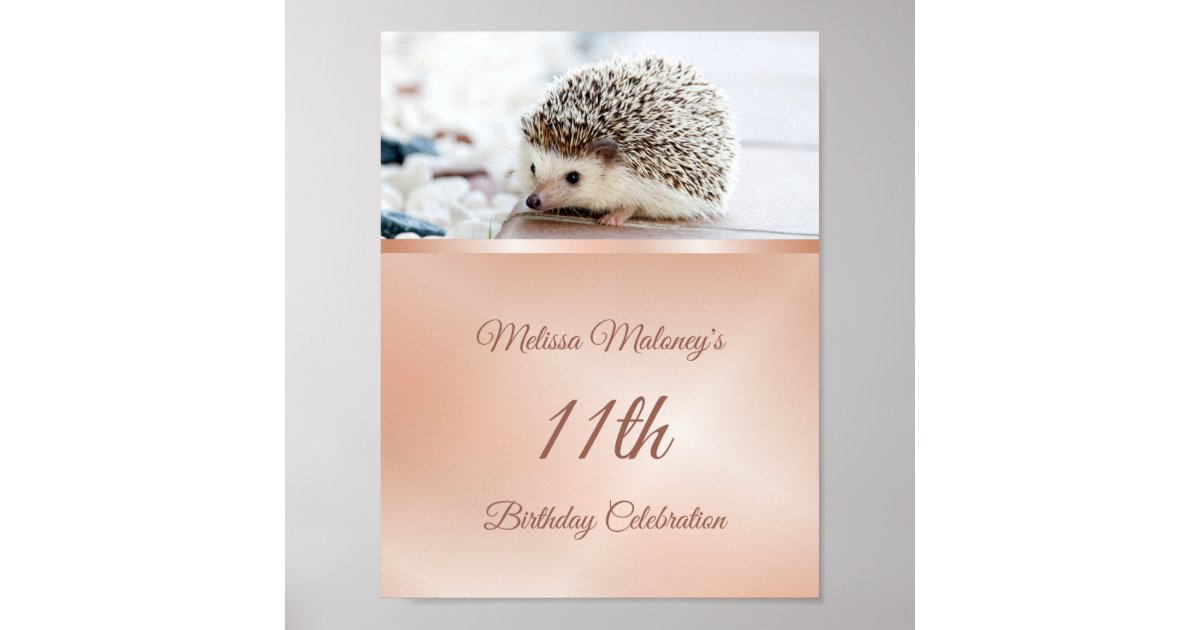 Cute Hedgehog Birthday Party Poster | Zazzle