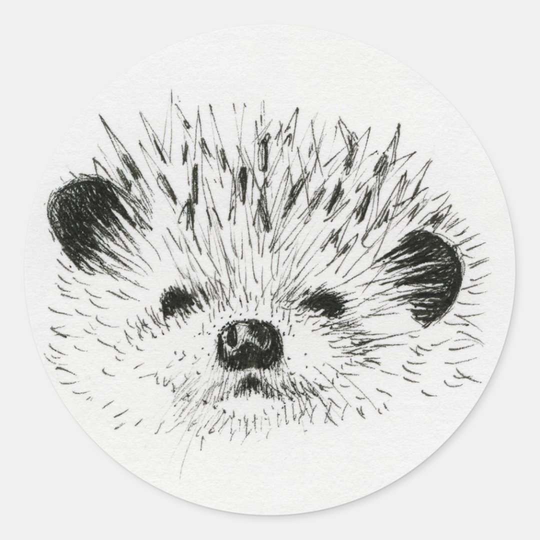 Cute Hedgehog drawing Classic Round Sticker | Zazzle