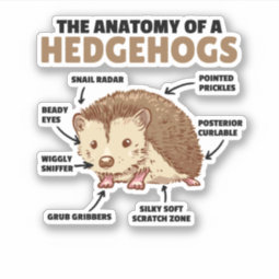 Cute Hedgehog Explanation Anatomy Of A Hedgehogs Sticker | Zazzle