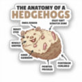 Cute Hedgehog Explanation Anatomy Of A Hedgehogs Sticker | Zazzle