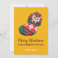 Cute Hedgehog in Stockings Merry Christmas Holiday Card | Zazzle