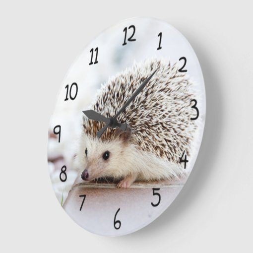 Cute Hedgehog Large Clock | Zazzle