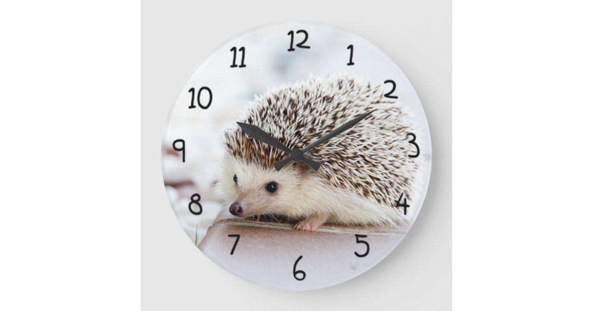Cute Hedgehog Large Clock | Zazzle