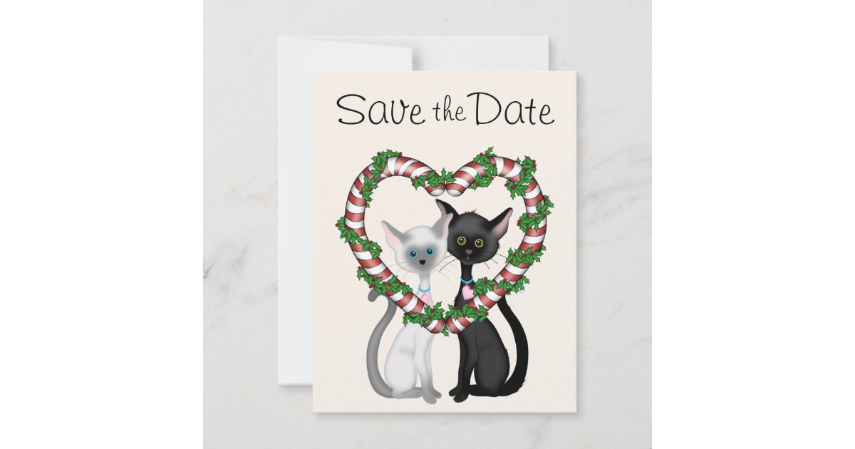 Cute Holiday Cats Save the Date Wedding Notice Invitation | Zazzle
