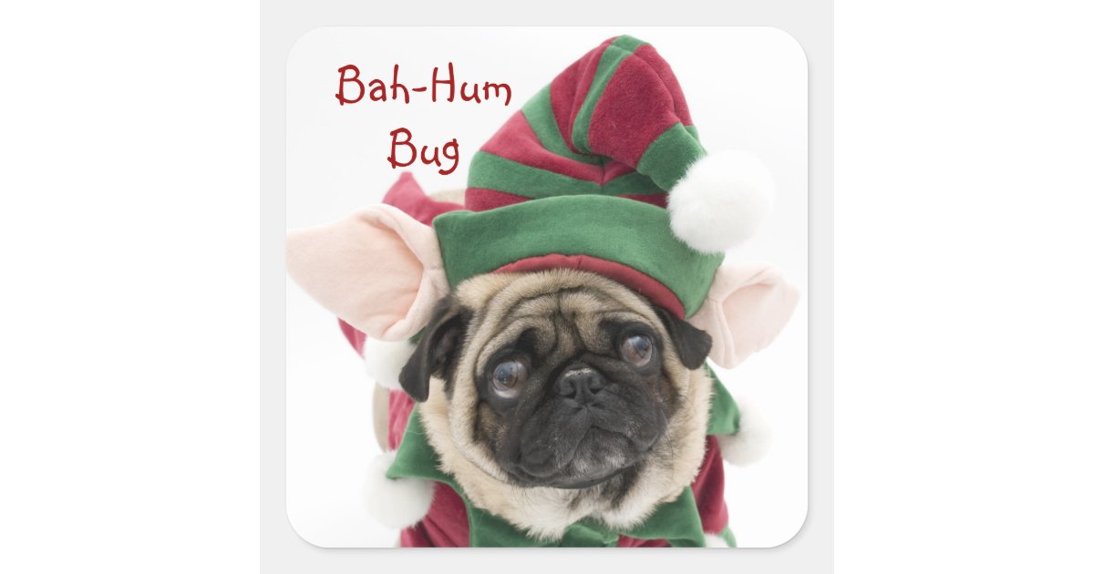Cute Holiday Pug Stickers | Zazzle