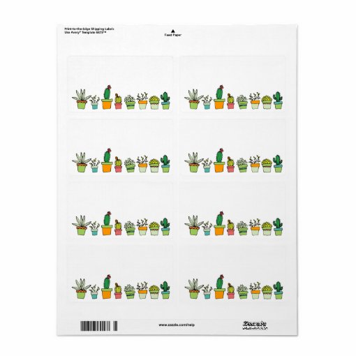 Cute Illustrated Succulent Garden Label | Zazzle