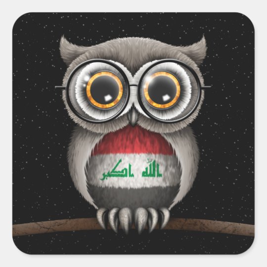 Cute Iraqi Flag Owl Wearing Glasses Square Sticker | Zazzle.com