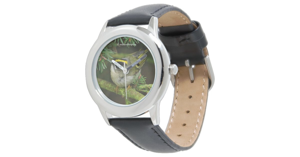 Cute Kinglet Songbird Causes Stir in the Fir Watch | Zazzle