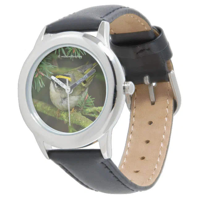 Cute Kinglet Songbird Causes Stir in the Fir Watch | Zazzle