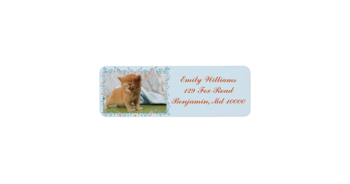 Cute Kitten Blue and Orange Label | Zazzle