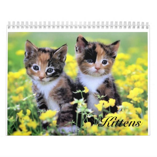 Cute Kitten Calendar | Zazzle