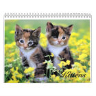 Cute Kitten Calendar | Zazzle