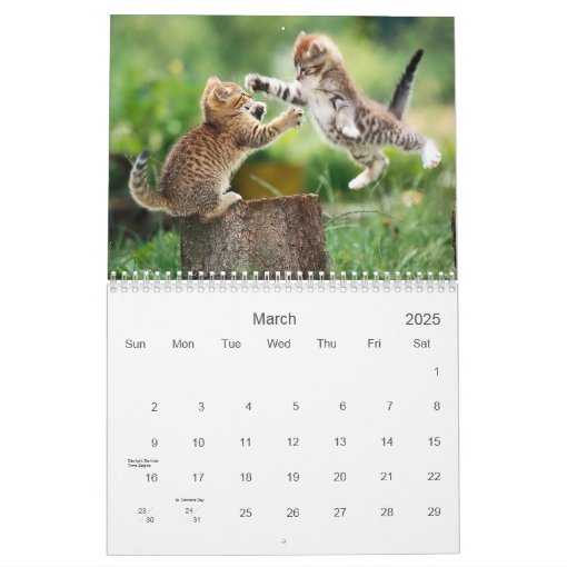 Cute Kitten Calendar | Zazzle
