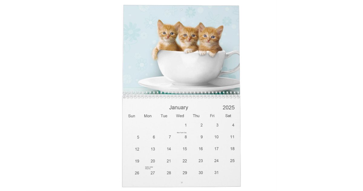 Cute Kitten Calendar | Zazzle