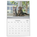 Cute Kitten Calendar | Zazzle