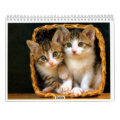 Cute Kitten Calendar | Zazzle