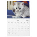 Cute Kitten Calendar | Zazzle