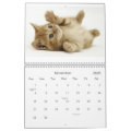 Cute Kitten Calendar | Zazzle