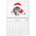 Cute Kitten Calendar | Zazzle